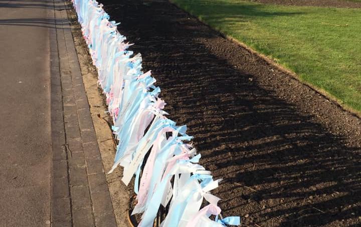 Baby Loss Awareness Week 2022 - Essex Sands Ribbon Display | Essex Sands